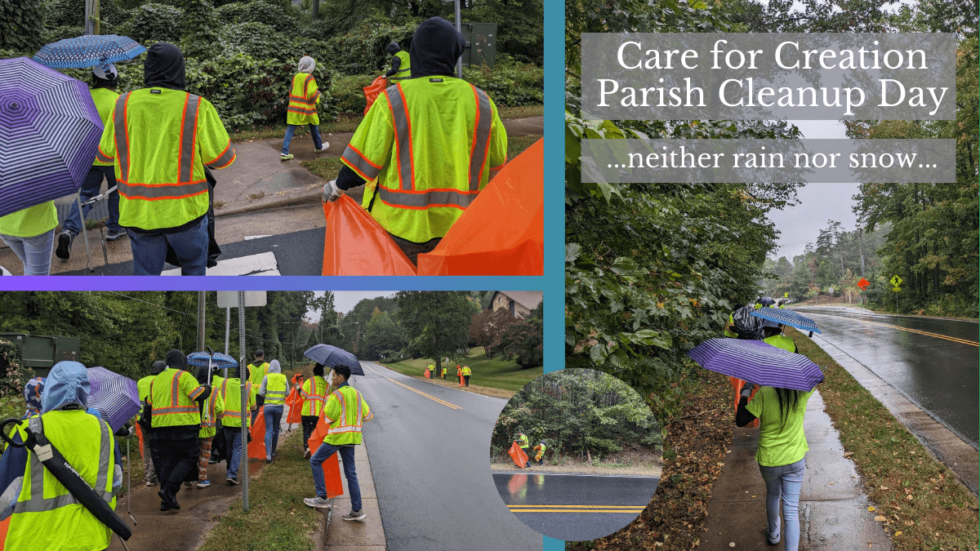 » Care for Creation/Care for the Poor