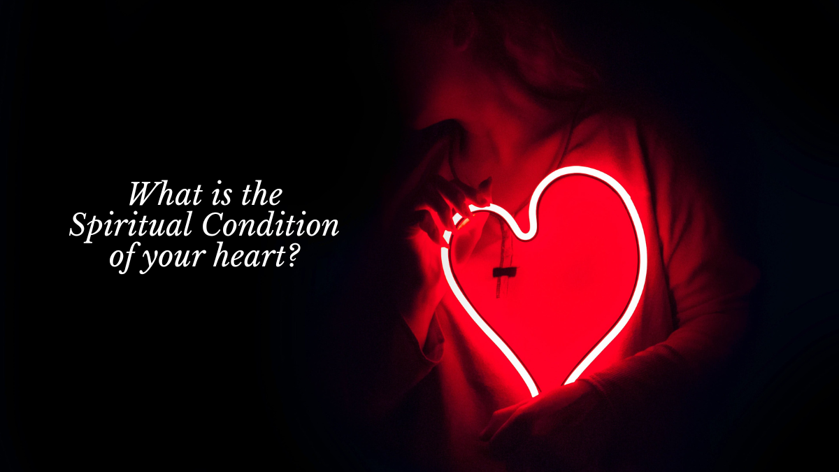 » Conditions of the Heart