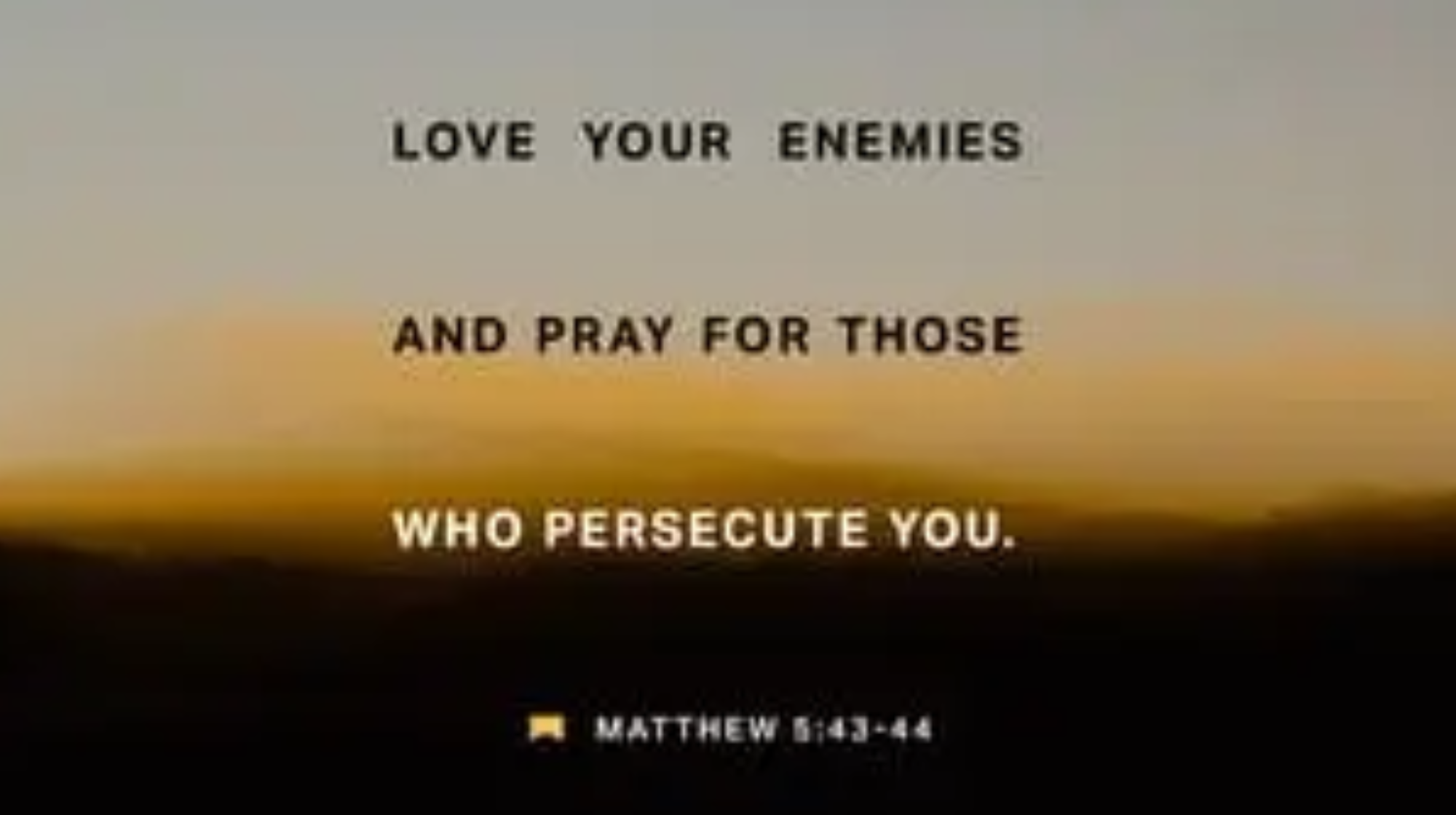 » Love Everyone