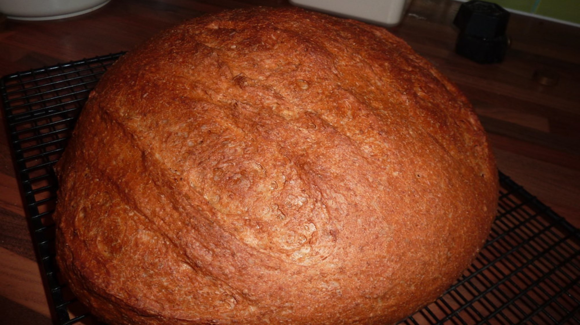 » The Bread of Life