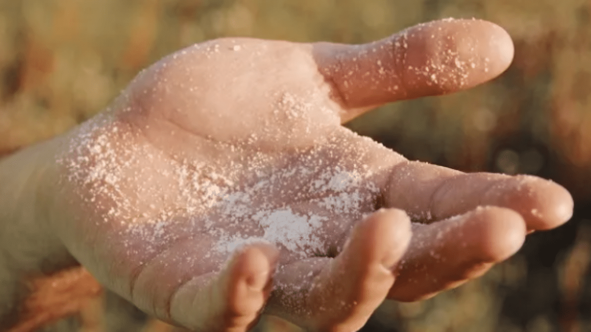 » Salt: Living True to Our Vocation